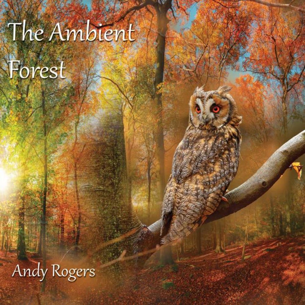 The Ambient Forest [CD] Rogers, Andy - SILENZIO - CDs | DVDs ...